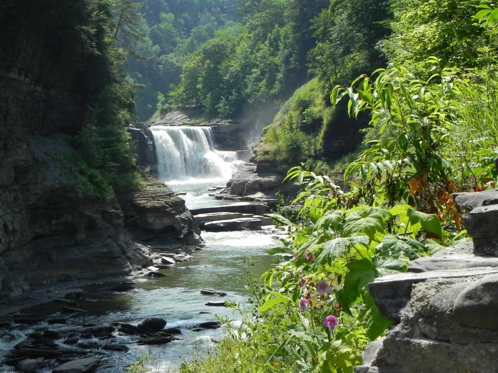Plan Your Visit to Letchworth State Park